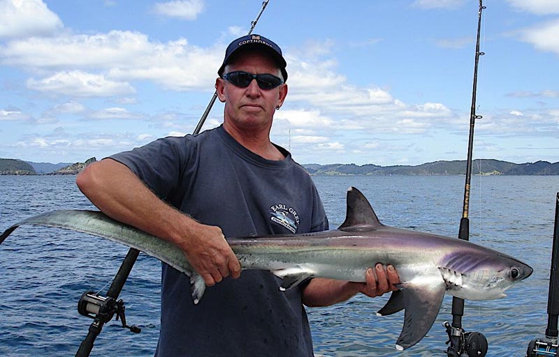 Sea Life - Earl Grey Fishing Charters